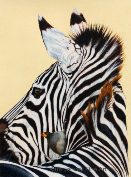 Cindy Wider interviews Wildlife Artist Kate Jenvey