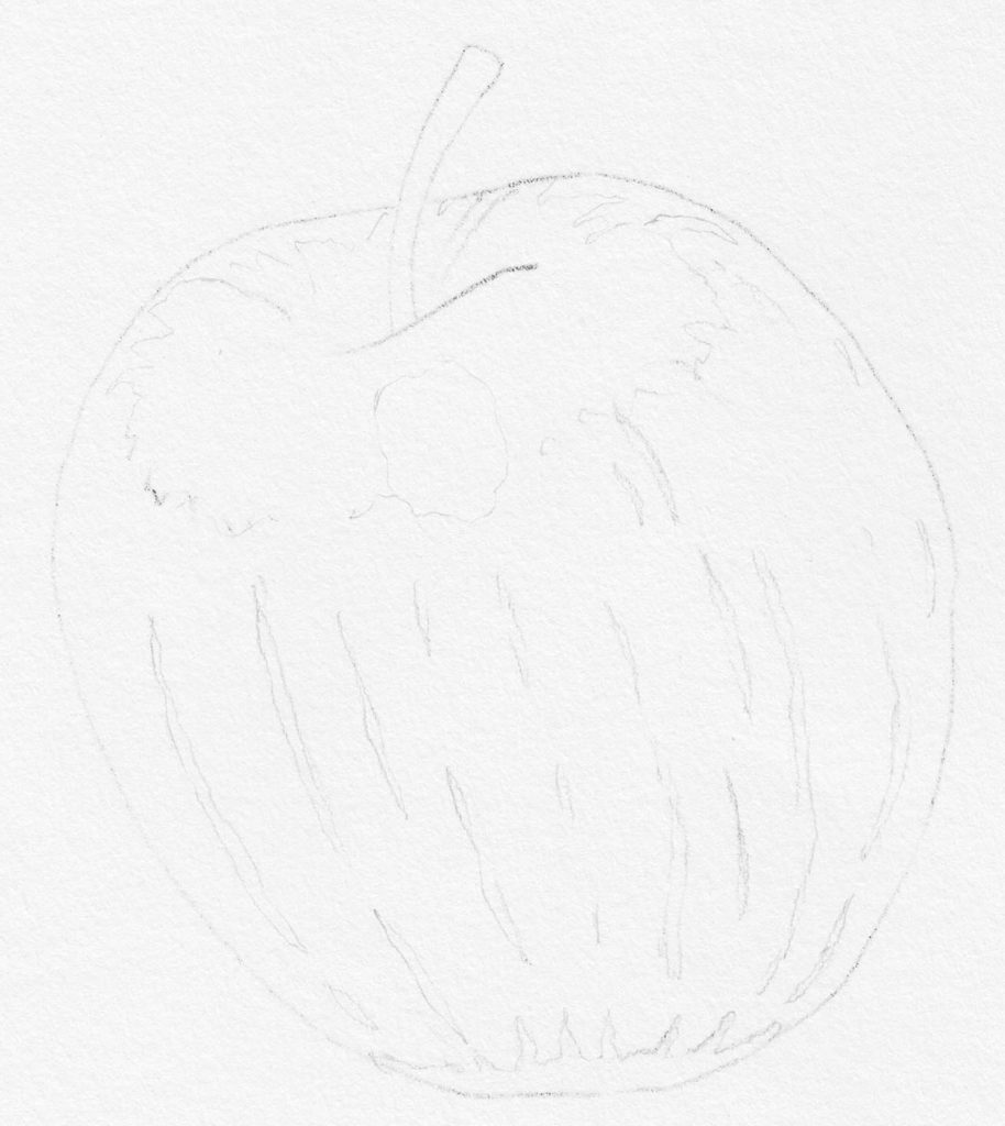 How to Draw a Juicy Apple using Coloured Pencil
