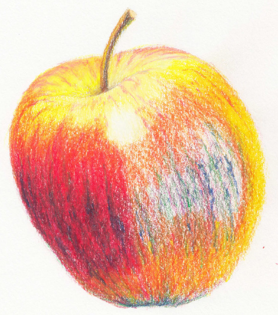 How to Draw a Juicy Apple using Coloured Pencil
