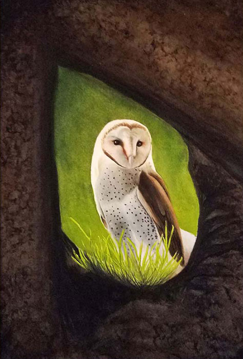 Owl by Sheila Perry from photo by Paul Fine - Learn to Draw and Color ...
