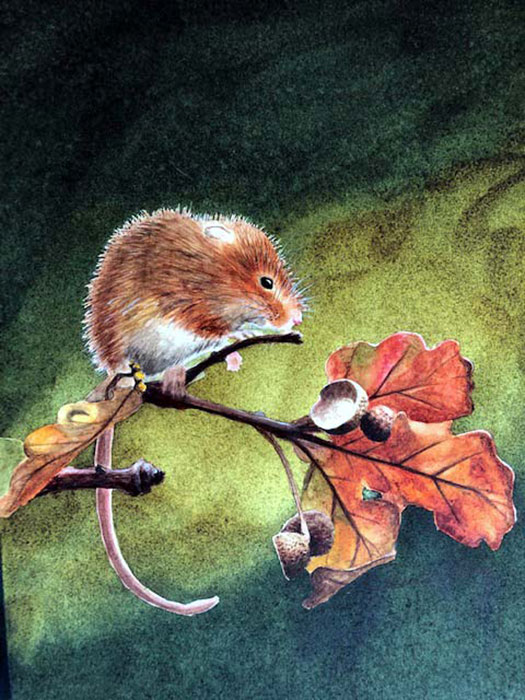 Sheila Perry - From Elementary Teacher to a Life Making Art