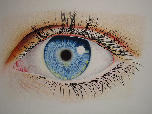 eye-web - Learn to Draw and Color with Cindy Wider