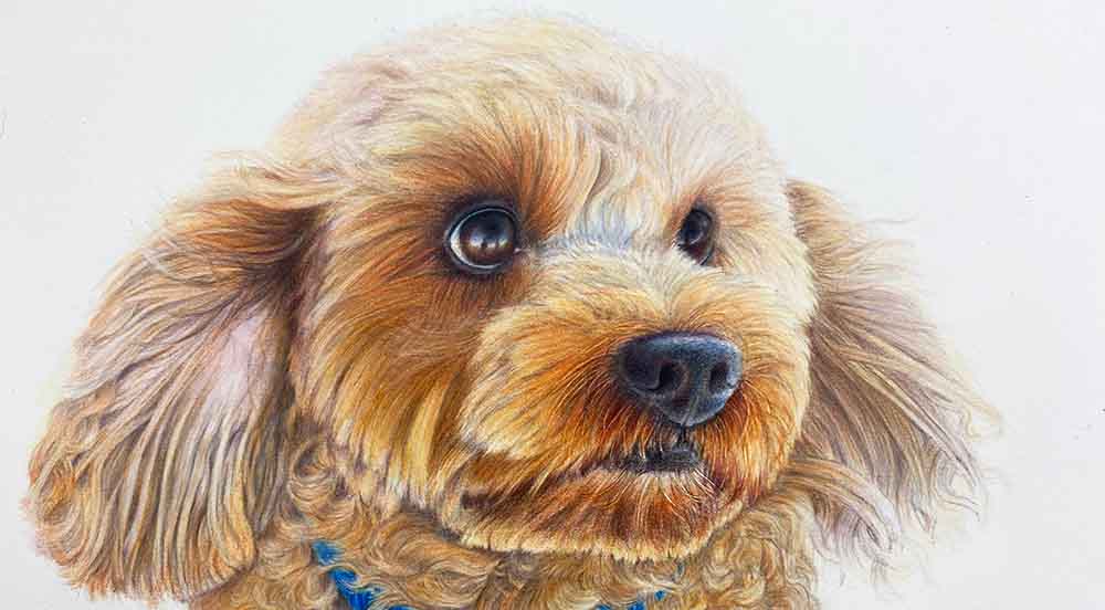 Wags-Final-drawing-1000 - Learn to Draw and Color with Cindy Wider