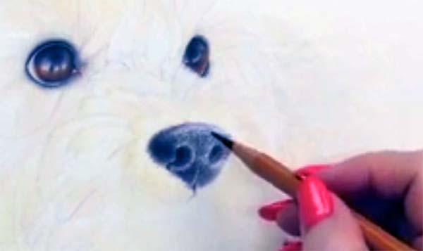 - Learn to Draw and Color with Cindy Wider