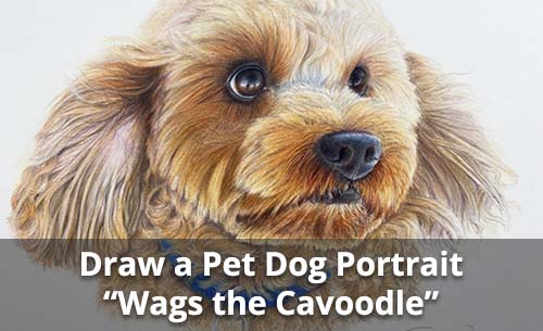 Learn to Draw a Pet Dog Portrait - Wags the Cavoodle